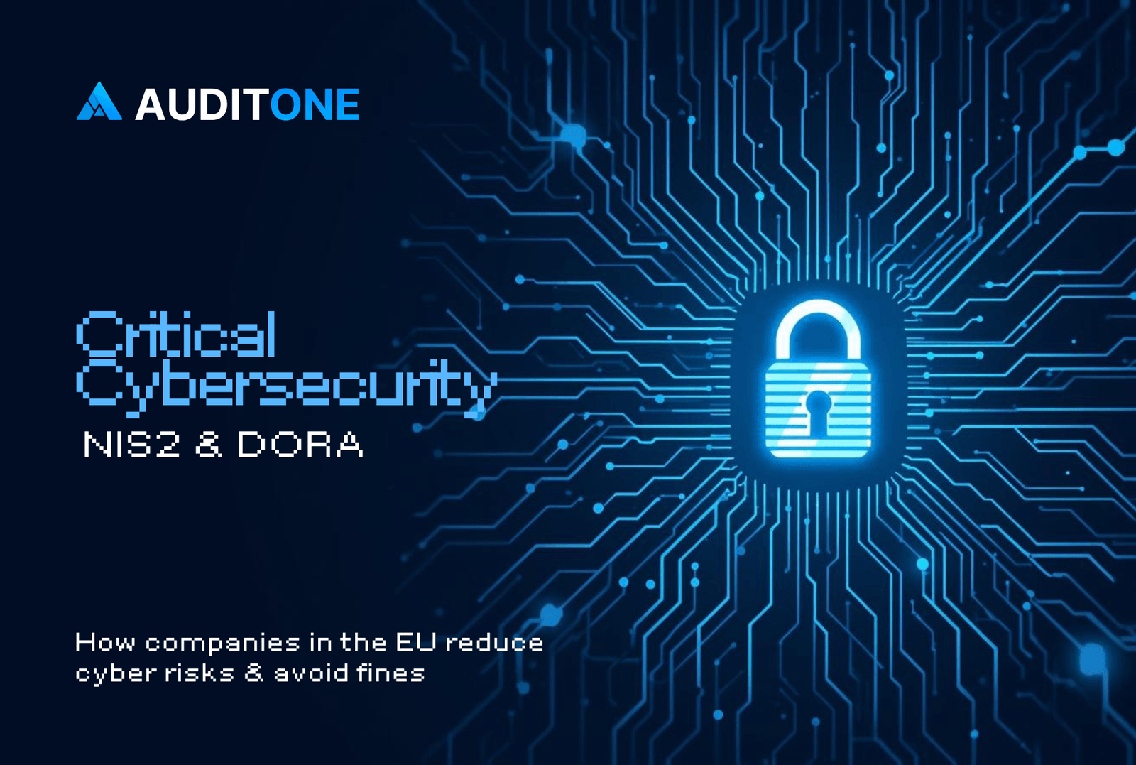 AuditOne: Cybersecurity & Internal Audit Services